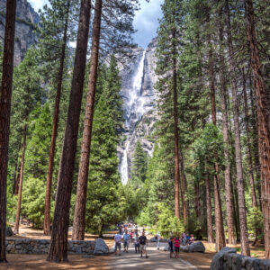 8 Best Day Hikes in Yosemite: From Easy to Difficult